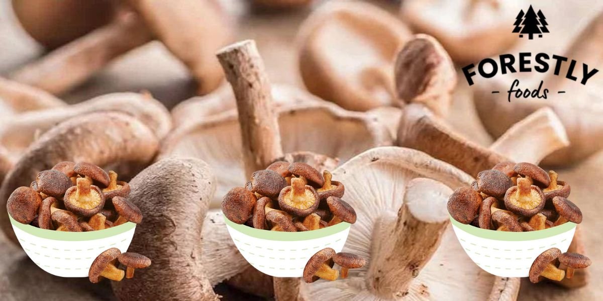 Forestly Foods hos Broders | Sprøde velsmagende svampechips